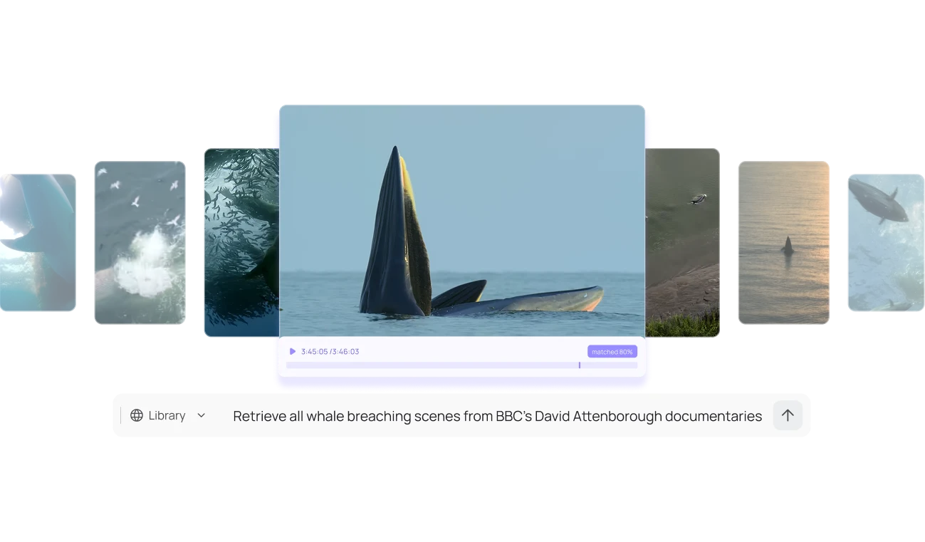 AI Video Management for Film & Media — Intelligent Asset Retrieval ...
